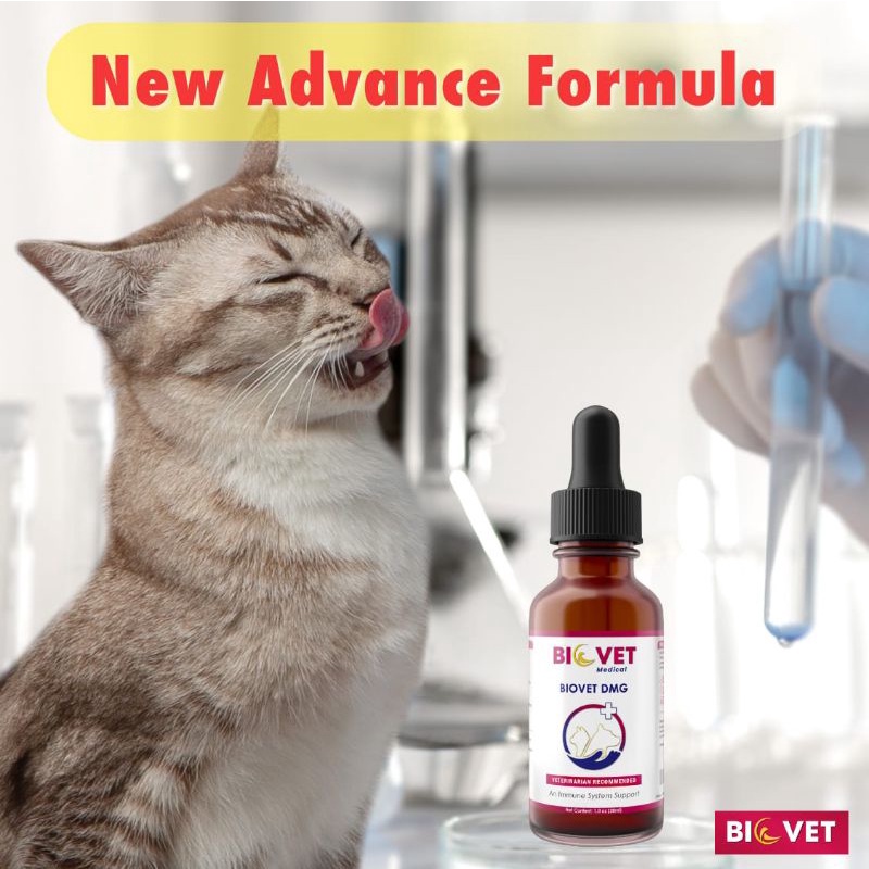 BIOVET DMG VITAMIN KUCING untuk sakit kronik fip dry, sporo & parvo ...