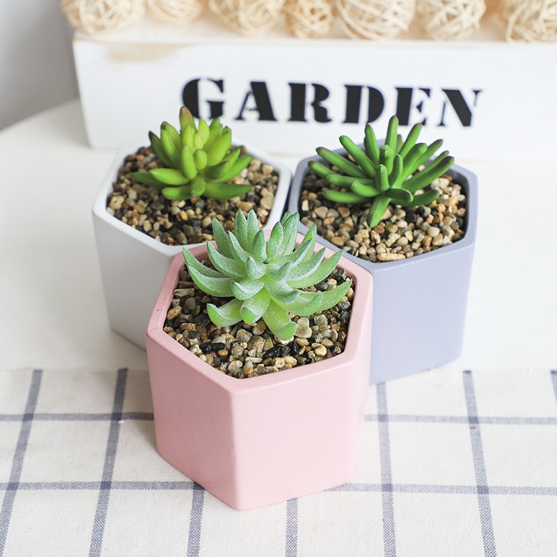 [DNA] MODERN INDOOR PLANTS POT Pasu Bunga POLYGON DISPLAY WHITE & PINK ...