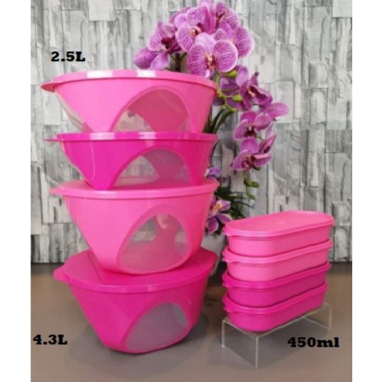 Tupperware Outdoor Dining Bowl Set OR Ezy Oval Keeper - 450ml OR 1.5L ...