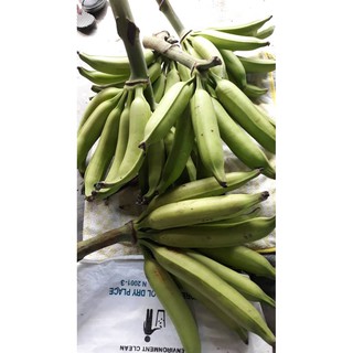 POKOK PISANG TANDUK{SULUR} HELANG ISI OREN BILA MASAK | Shopee Malaysia