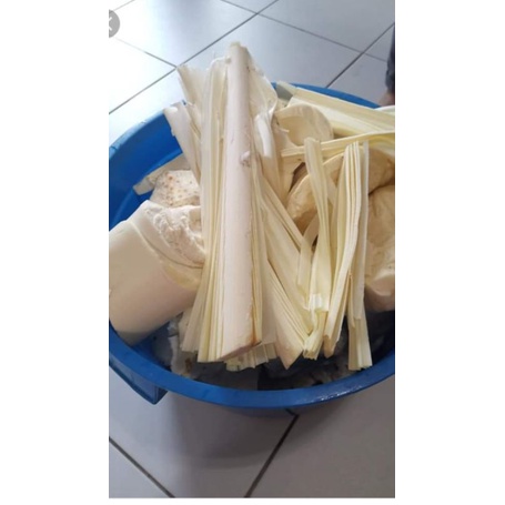 Umbut Kelapa/umbut Nyok 1kg | Shopee Malaysia