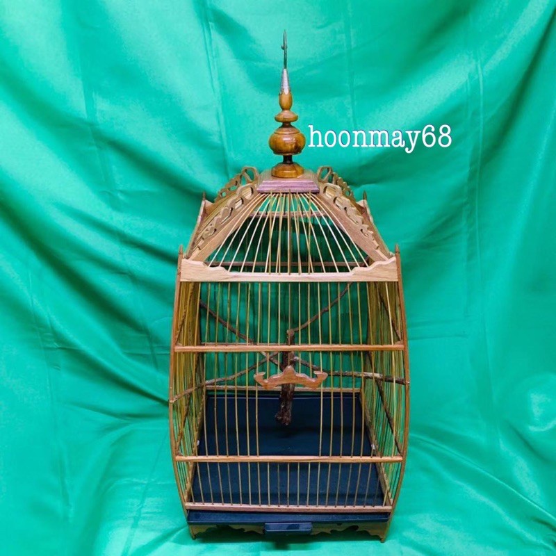 sangkar burung jambul Murai,Murai Batu17” | Shopee Malaysia