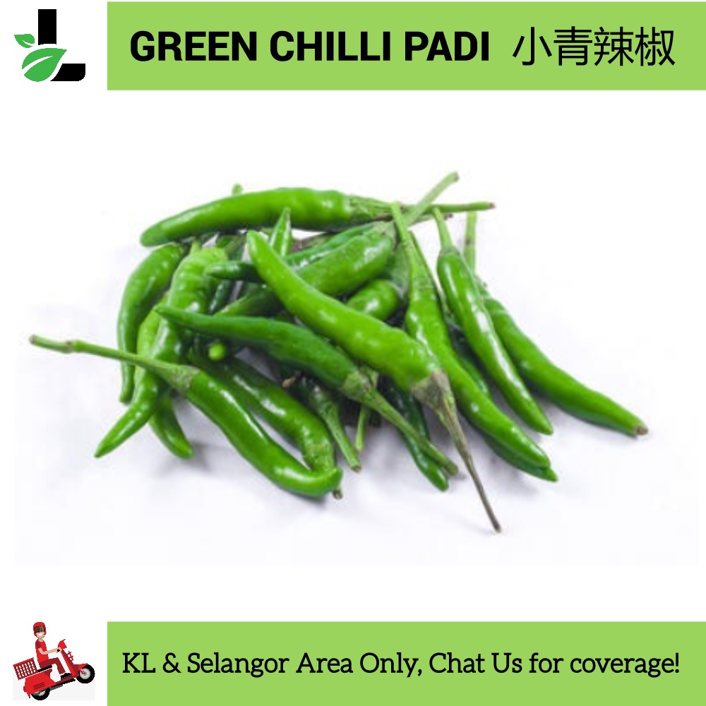Green Chili Padi ±100gr / 小辣椒 (青) / Cili Api/ Padi Hijau - Fresh ...