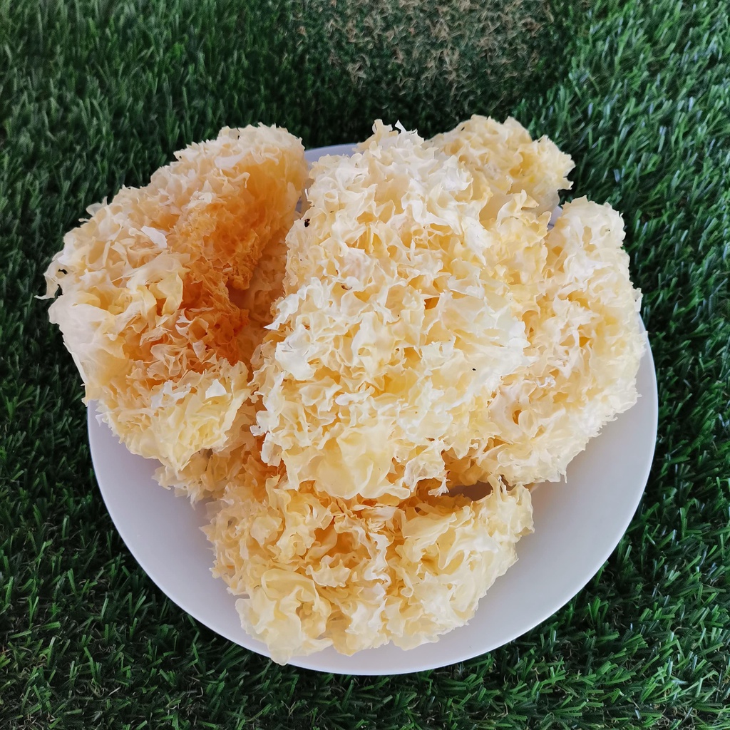 White fungus/Cendawan putih/雪耳 100g | Shopee Malaysia