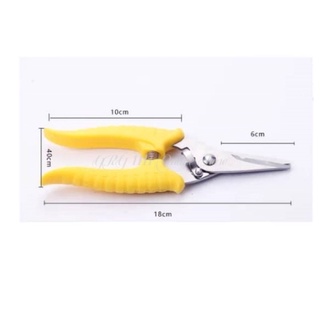 GARDEN PRUNING SHEAR STAINLESS STEEL /GUNTING DAHAN / GUNTING BUNGA ...