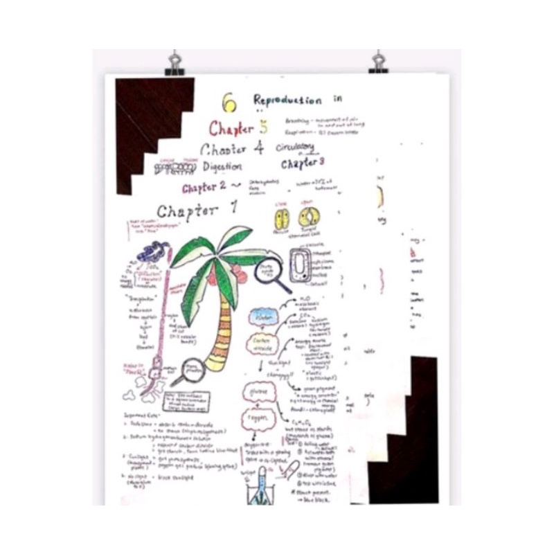 🌈[IGCSE NOTES] Year 8 Science Notes (Biology)(soft copy) | Shopee Malaysia