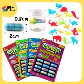 [READY STOCK] Growing Capsule Animals Science Experiment Kids Water ...