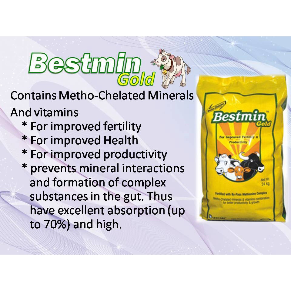 BESTMIN GOLD 1.2KG | Suplemen Herba Lembu, Kerbau, Kambing | Bantu ...
