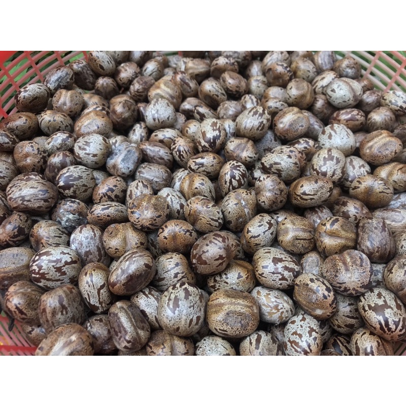 100 Biji getah Permainan Tradisional | Shopee Malaysia