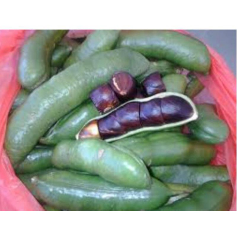 ULAM BUAH GENUAK/BUAH KERDAS | Shopee Malaysia
