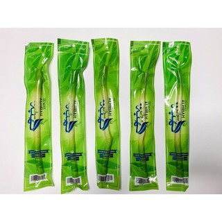 KAYU SUGI AL HIBAH 60 PCS (60 BATANG) 1 BIG BOX (GREEN PACKAGING ...