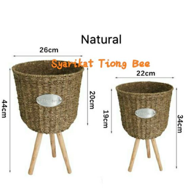Pasu Rottan Berkaki/pasu bunga/pasu pokok viral/bakul pokok/basket ...