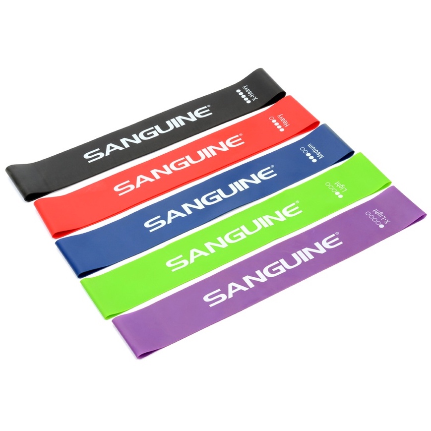 Sanguine Mini Loop Band Fitness Resistance Band Shopee Malaysia