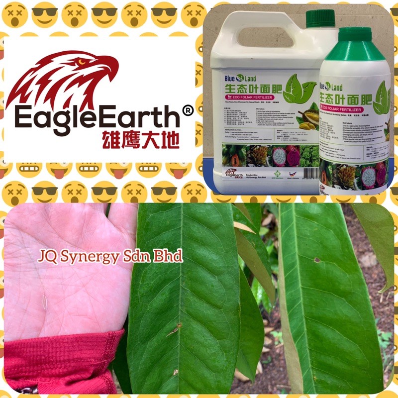 Premium products / Baja Foliar/ Baja Organik/ Organic Fertilizer Eco ...