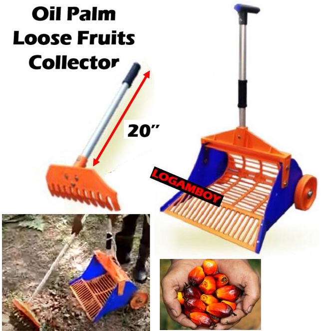 Oil Palm Loose Fruits Collector Buah Kelapa Sawit Pongkis Plastic Rake ...