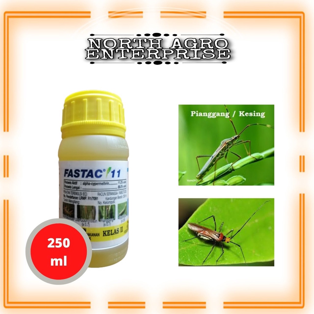 Racun serangga pianggang@kesing Fastac 11 250ml | Shopee Malaysia