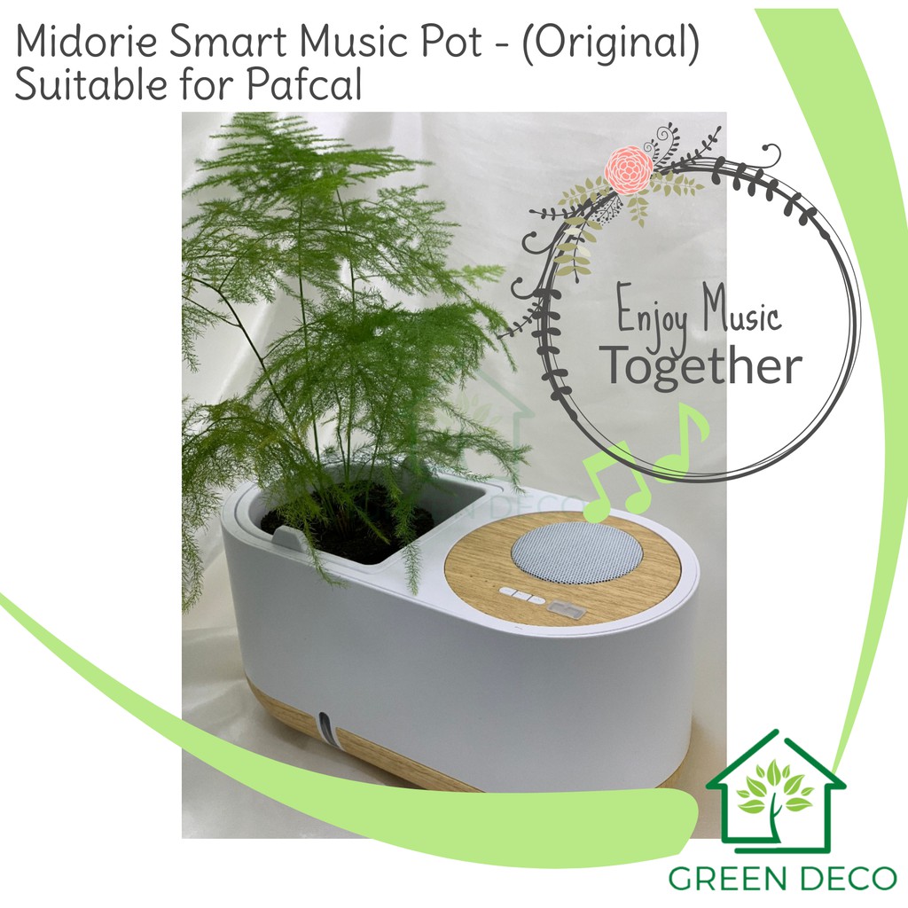 Self Watering Midorie Premium Quality Smart Music Pot | BeeCost