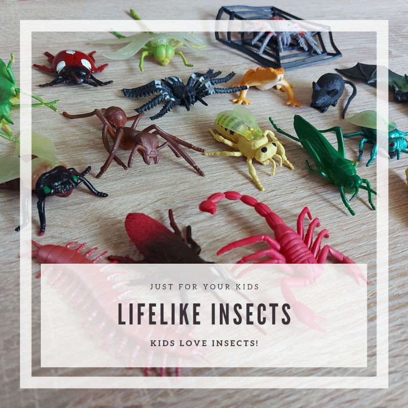 2pcs Insects Toy Bugs Models Learning Pretend Figure Lifelike Cockroach ...