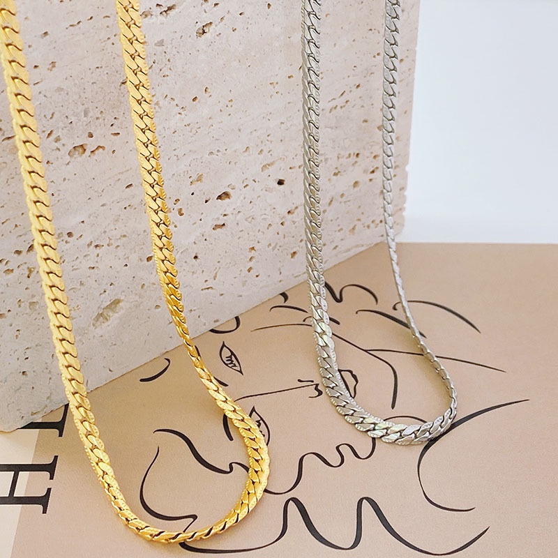 Simple Snake Bone Chain Titanium Steel Necklace Female Niche Design ...