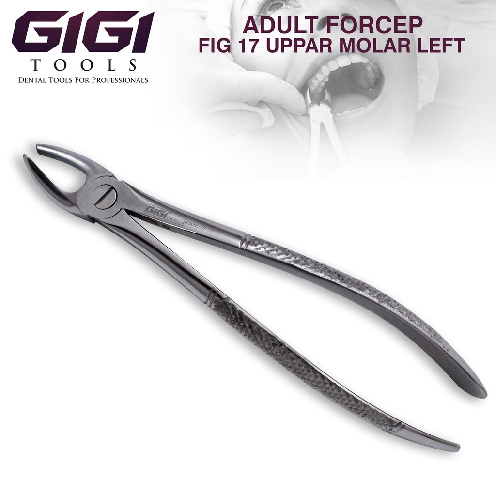 GIGI Tools Tooth Extracting Forceps FIG 17 Upper Molar Left Adult ...