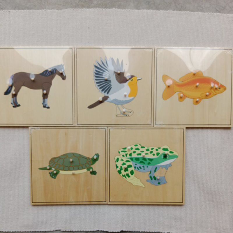 (Ready Stock) Montessori Teaching Aid Animal Zoology Vertebrates Puzzle ...