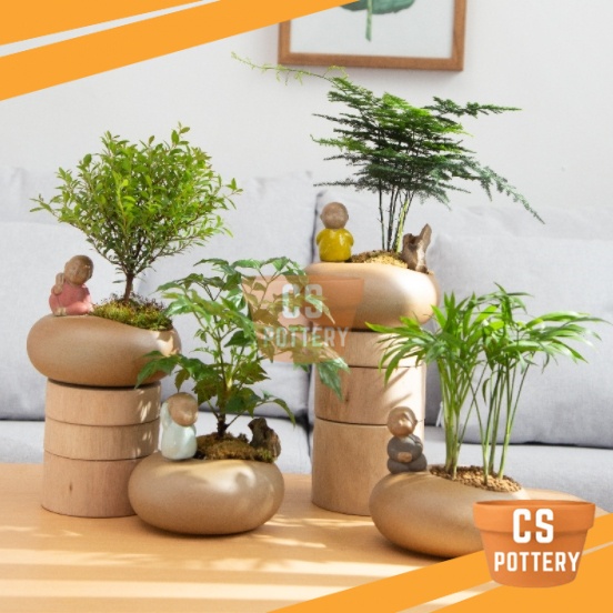 New Little Monk Design Ceramic Pot THG 059 Cactus Succulent Pottery ...