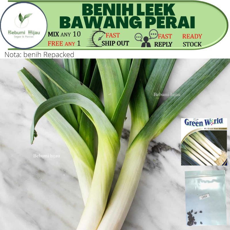 20++ bawang perai LEEK repack daun bawang cameron | Shopee Malaysia