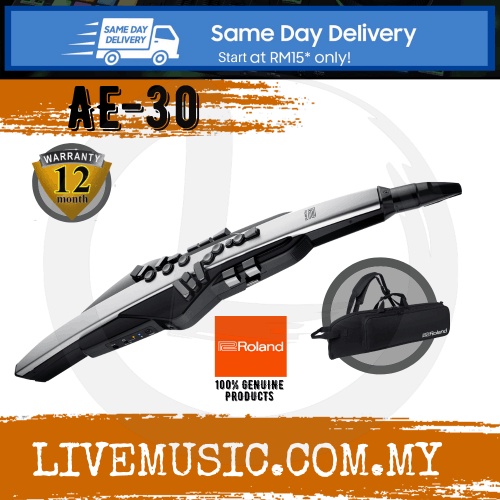 Roland Aerophone Pro AE-30 Digital Wind Instrument, Professional-Grade ...