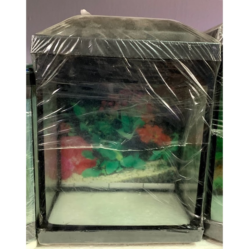 Aquarium Fish Tank | Shopee Malaysia
