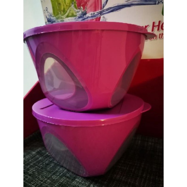 TUPPERWARE Set Level Container With Window (4.3L 2 pcs) | Shopee Malaysia