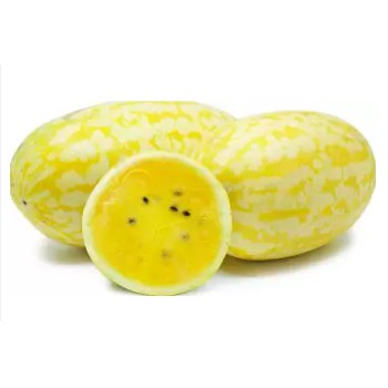 Large Gold in gold Watermelon seed(Citrullus lanatus) | Shopee Malaysia