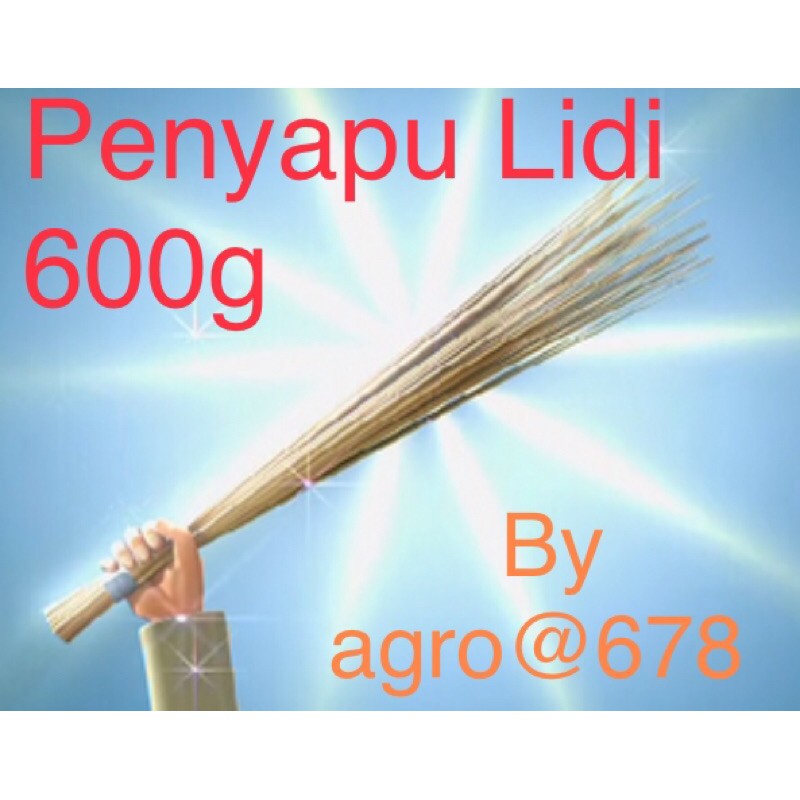 Penyapu Lidi High Quality (600g) | Shopee Malaysia