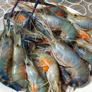 Bubu ikan @ udang. Bubu serbaguna di sungai @ laut. | Shopee Malaysia