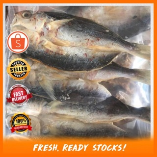 Ikan masin Sulit fresh (500g) | Shopee Malaysia