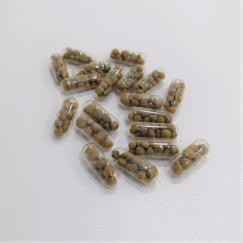 Root Tab Capsules Nutrient Aquarium Plants | Shopee Malaysia