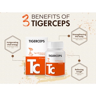 Tigerceps 30s {Tiger Millk Mushroom and Cordyceps) | Shopee Malaysia