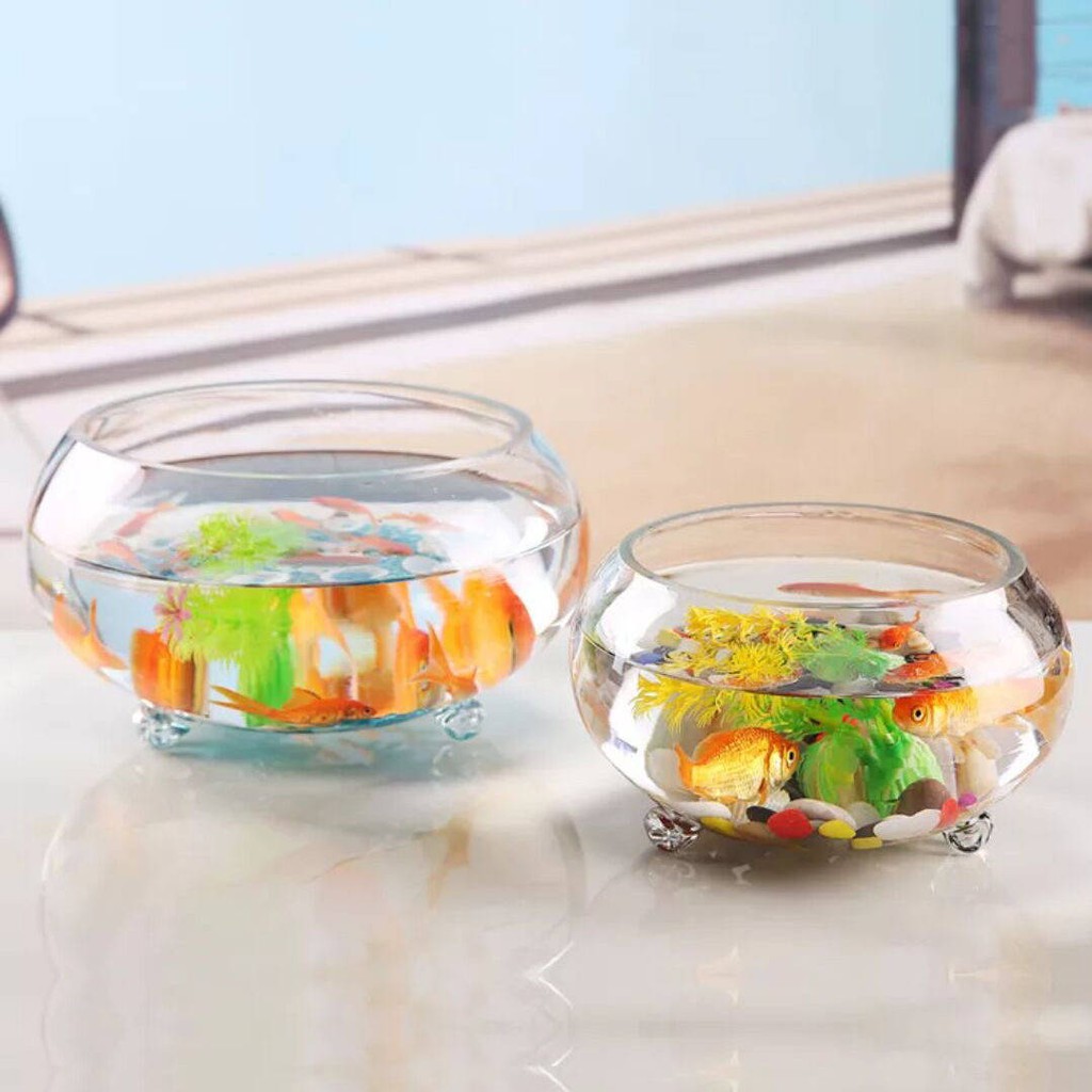 Kaca Kreatif Kreatif Klasik Dengan Jaw Round Fish Tank Kecil Desktop ...