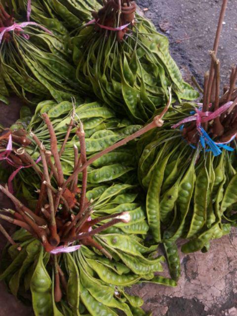 PROTON SAGA BLM PERSONA GEN2 (AUTO) TOP+BOTTOM HOSE SILICON SAMCO ...