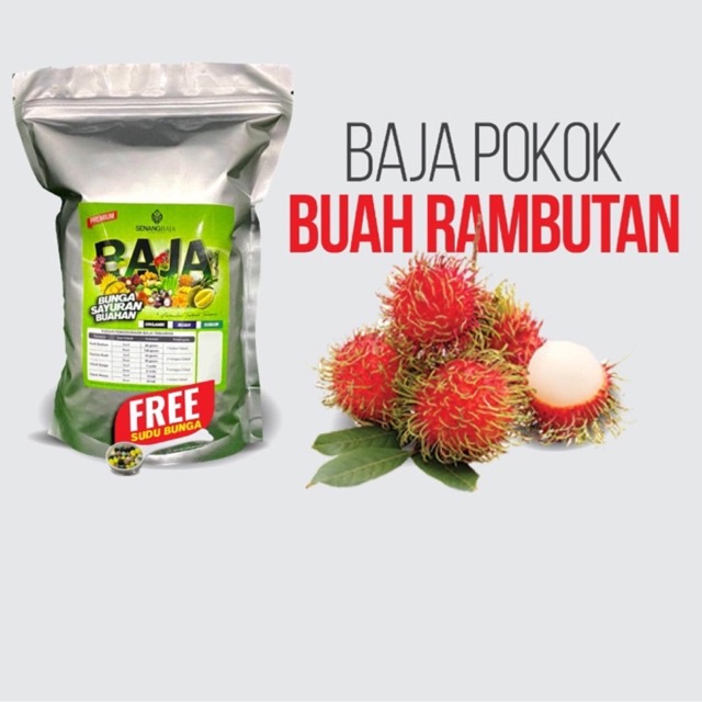 BAJA RAMBUTAN PACK JIMAT 1000GRAM FREE 500GRAM | Shopee Malaysia
