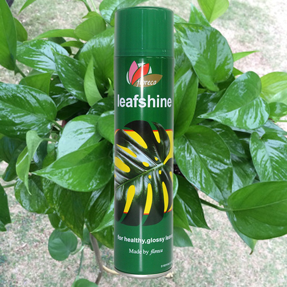 Phy - Leafshine Spray/Spray Daun Kilat (600mL) | Shopee Malaysia