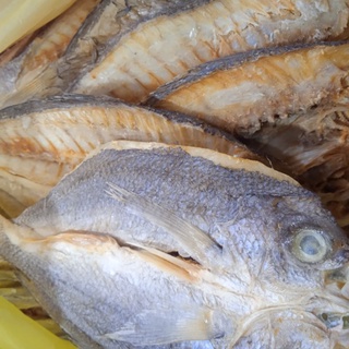 IKAN MASIN SULIT 0.5G | Shopee Malaysia