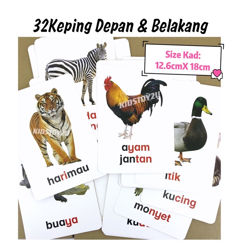 Bahasa Malaysia Education Flash Card Kad Imbas Haiwan Early Learning ...