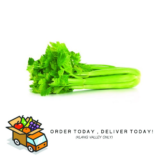 Fresh Celery Saderi 1 Stalk Fresh Vegetables | Shopee Malaysia