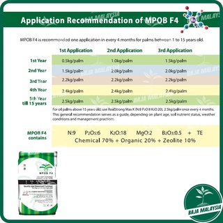 Real Strong MPOB F4 Bio-Chemical Fertilizer NPKMB 9-6-18-2+0.5 25KG ...
