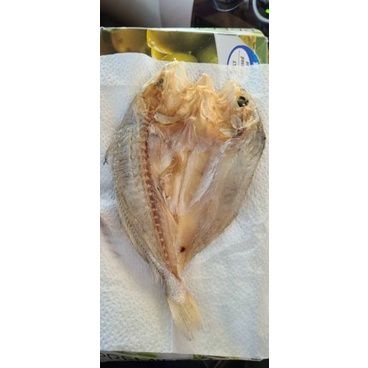 Ikan Bekok Gelama Sungai Fresh (SB) | Shopee Malaysia