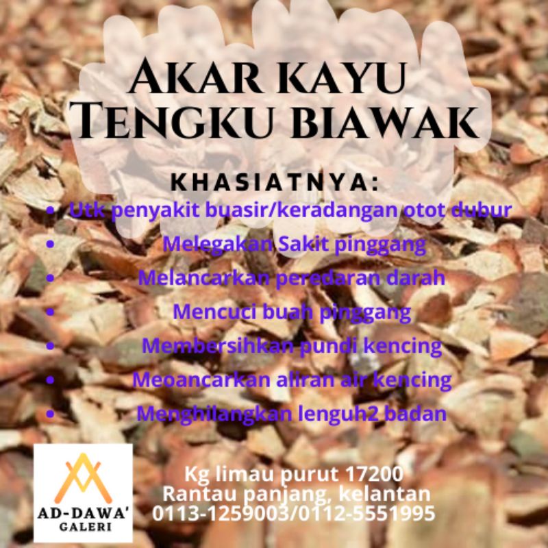 akar kayu tengkuk biawak(PENAWAR BUASIR) 100gram | Shopee Malaysia