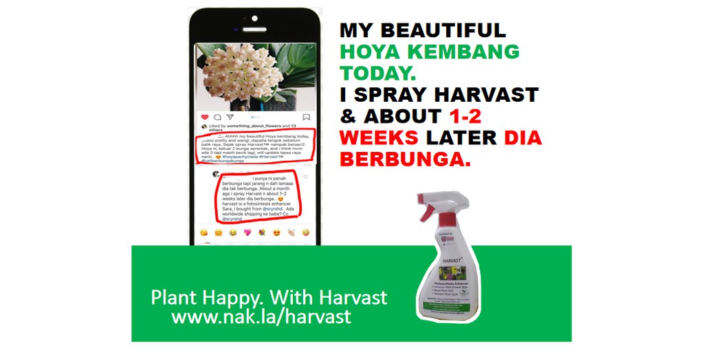 HARVAST, Online Shop | Shopee Malaysia