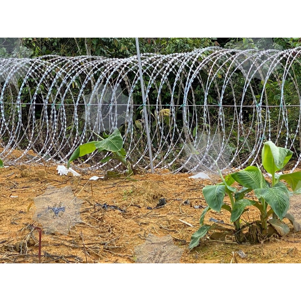 RAZOR BARB WIRE/ PKP WIRE 700MM | Shopee Malaysia