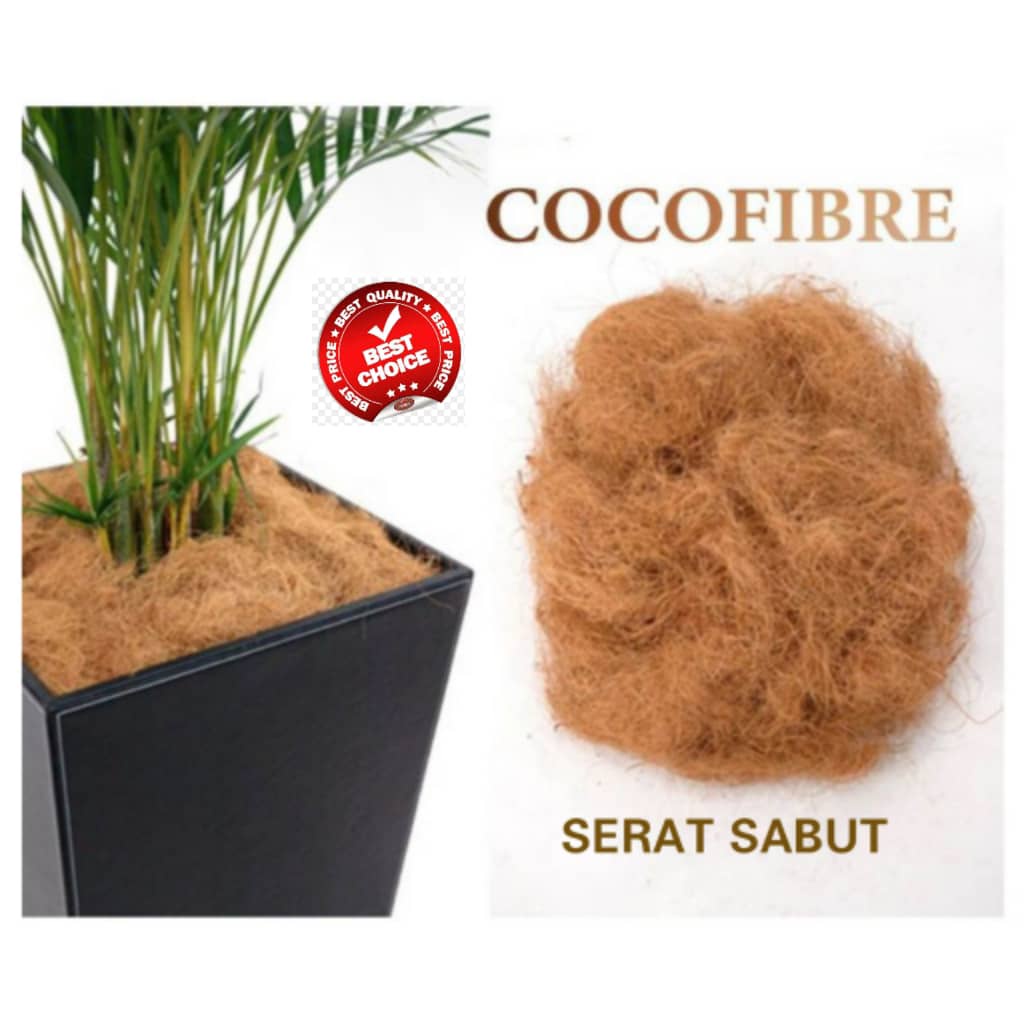 [Ready Stock] Serat Kelapa | Sabut Kelapa | Fiber Sabut Kering ...
