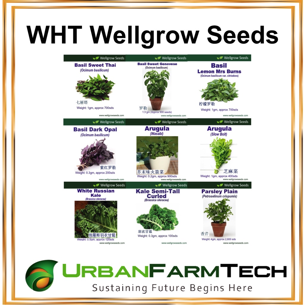WHT Wellgrow Seeds/Vegetables/Leafy Greens | Shopee Malaysia
